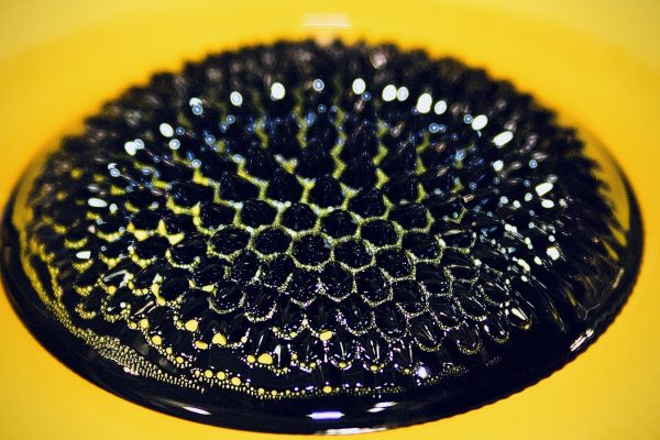 Ferrofluid Archives - Flow Visualization