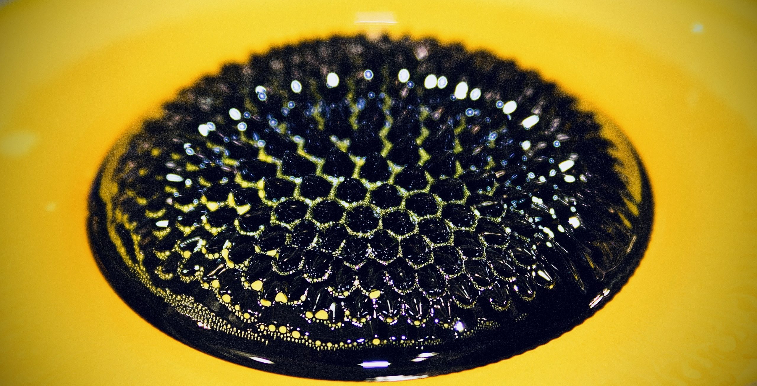 Team Third // Lucas Garcia - Flow Visualization