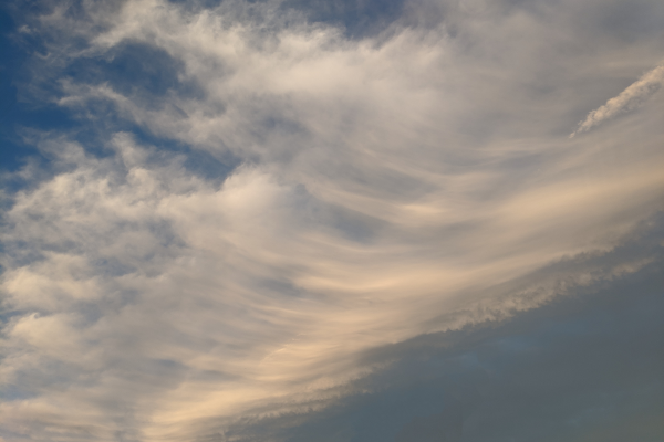 Peter Rosenthal – Flow Visualization