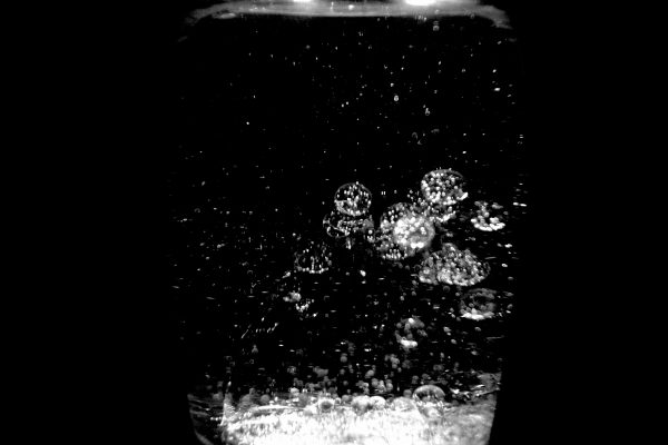 2019 Fall Archives - Flow Visualization