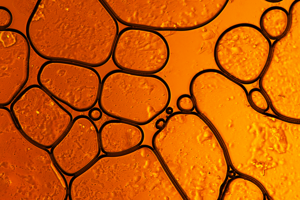 Team Third // Max Armstrong - Flow Visualization