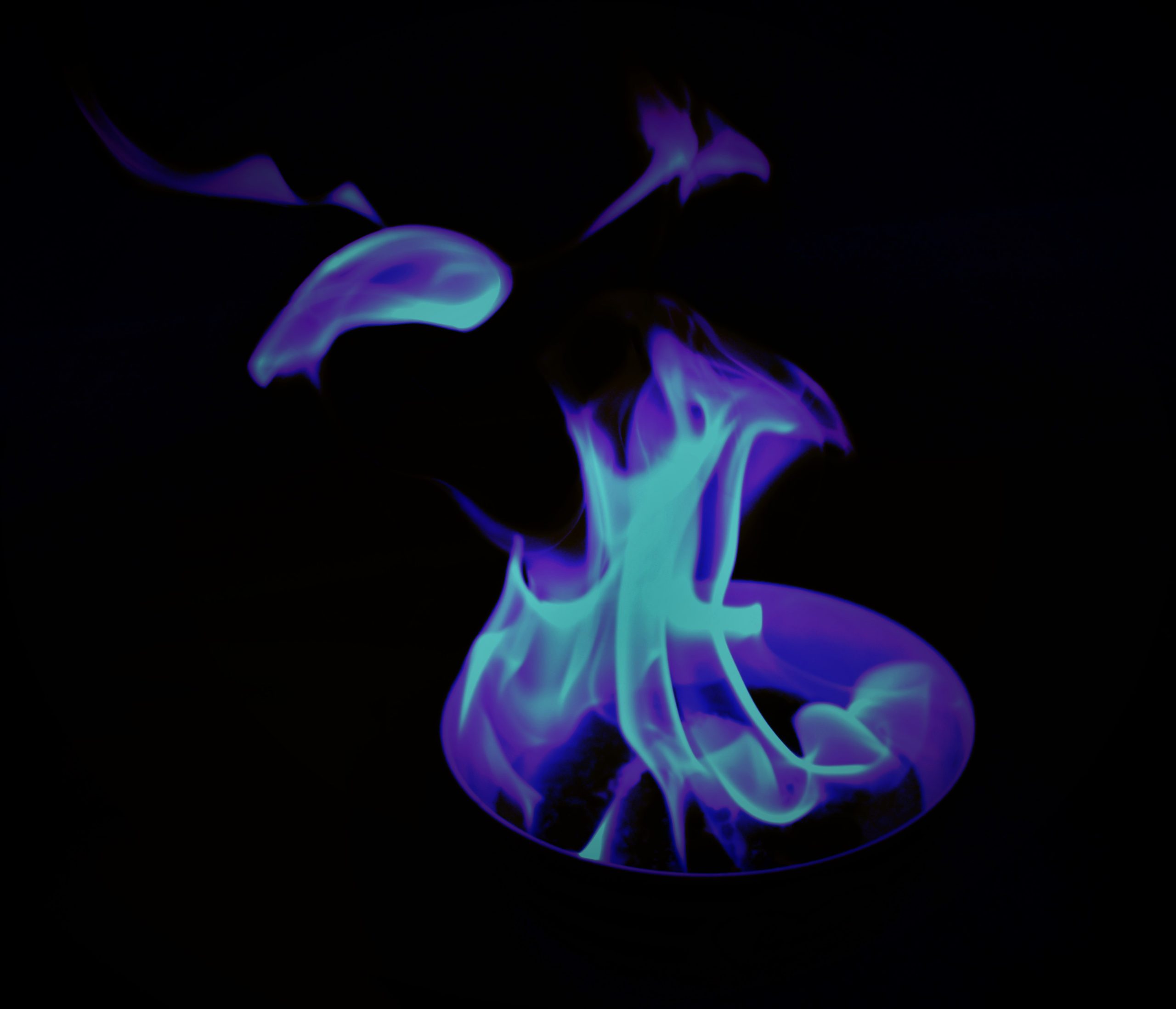 FLY FISHY FLY//TEAM THIRD - Flow Visualization