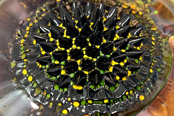 Brian Gomez – Flow Visualization