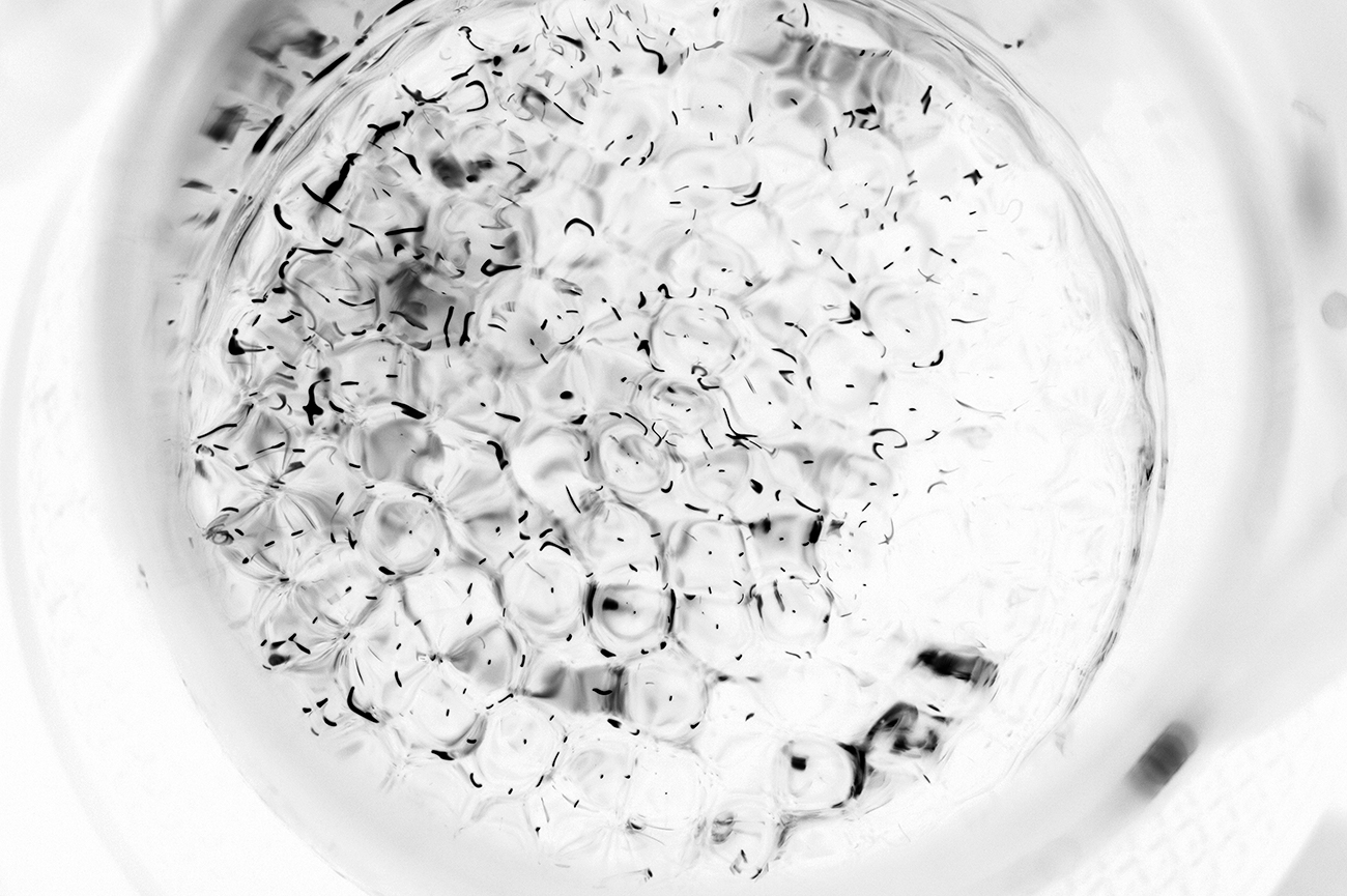 Team Third // Antonio Gueretta – Flow Visualization