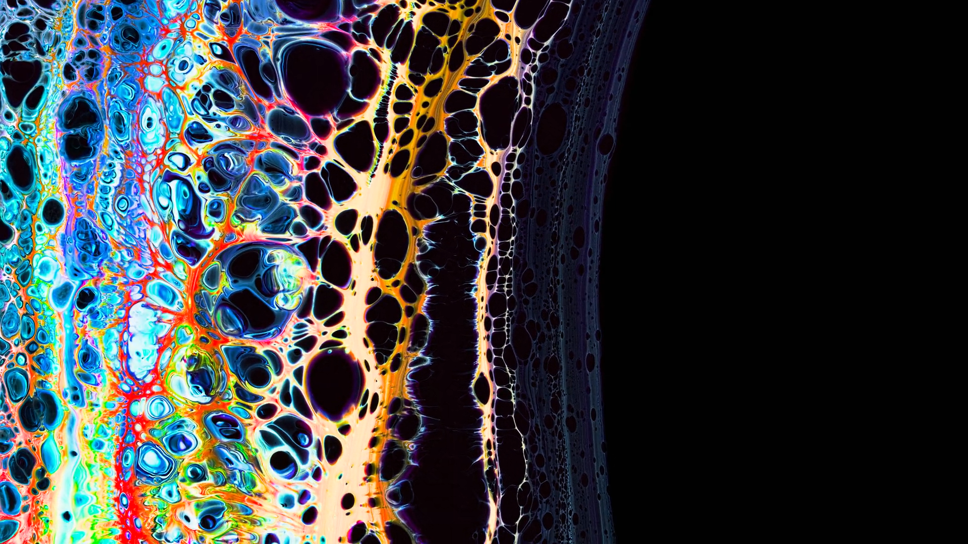 Best of Web// Hannah Moller – Flow Visualization