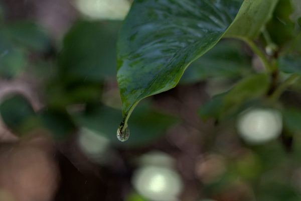 Taylor Ellis – Flow Visualization