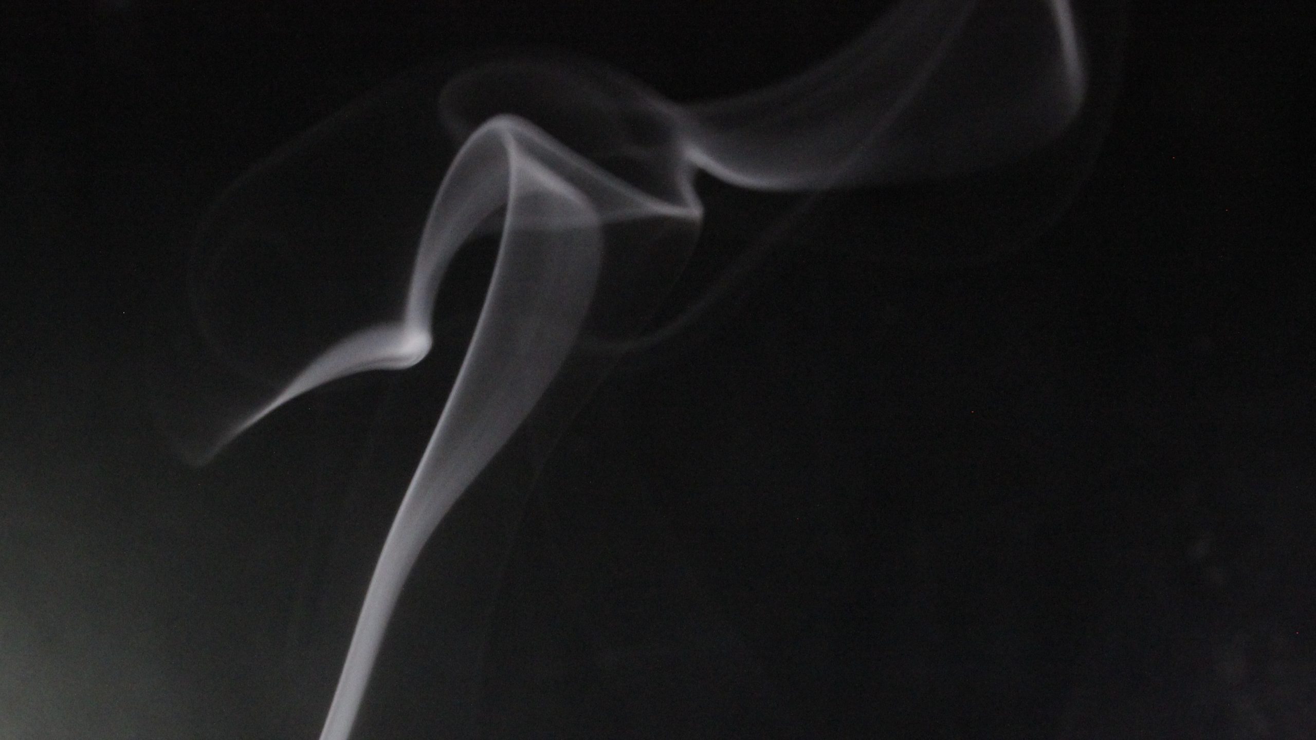 Olivia Ward // Image- Video 1 - Flow Visualization