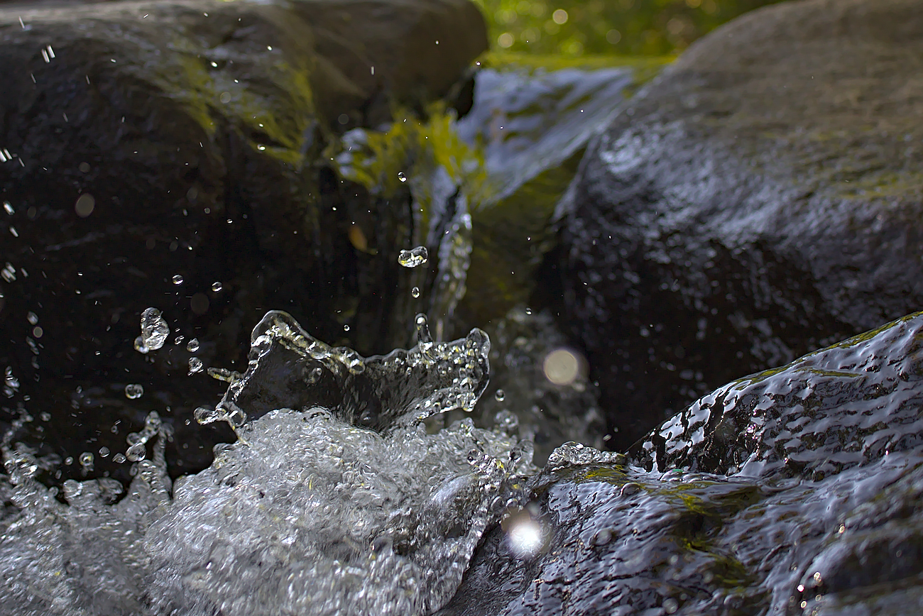 Image-Video 2 // Brian Haug - Flow Visualization