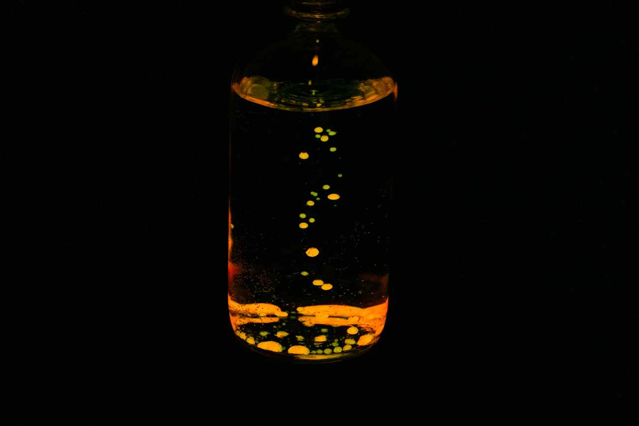 Max Kitay - Flow Visualization