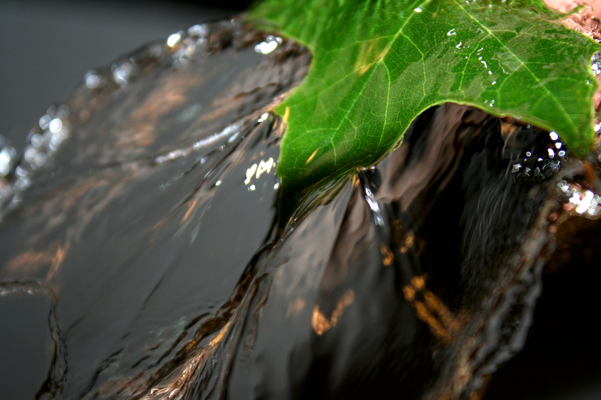 Image-Video 1// Jillian Weber - Flow Visualization