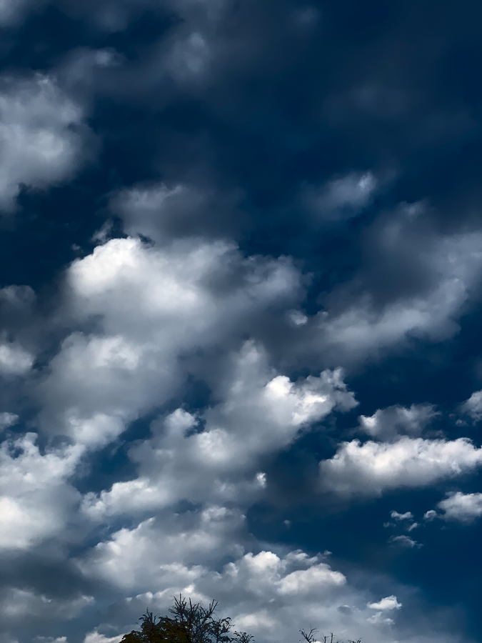 Edgar Palma // Clouds First - Flow Visualization