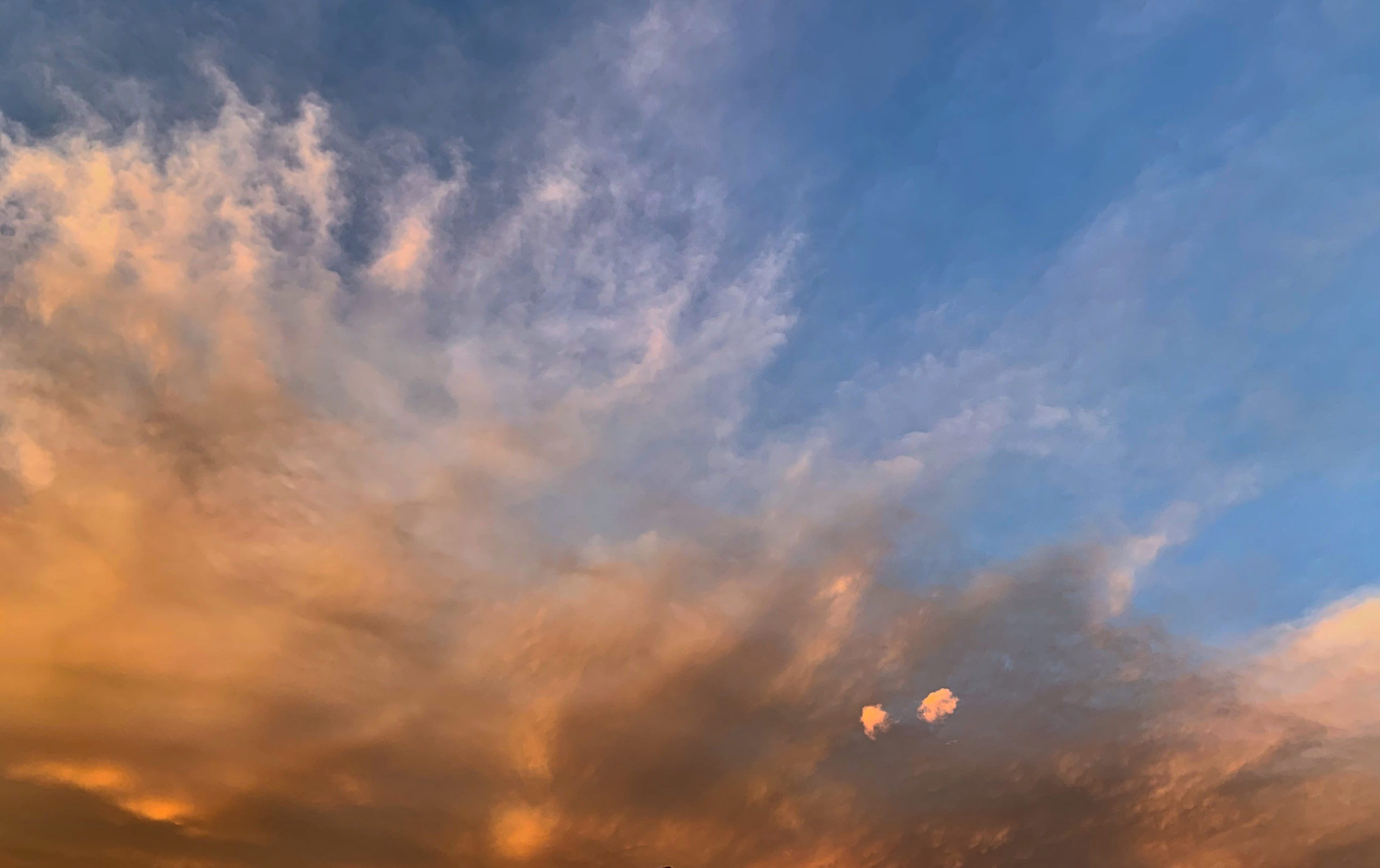 Stella Newman // Clouds First - Flow Visualization