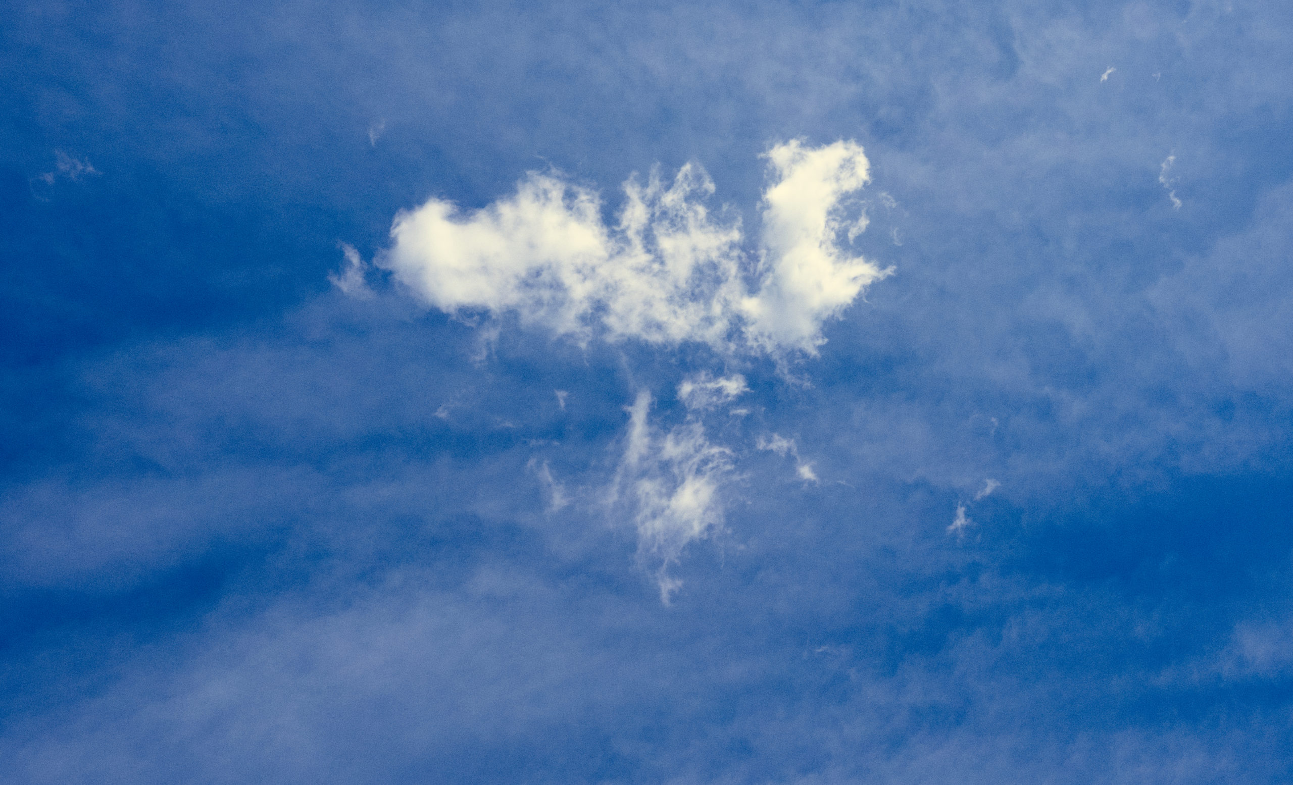 Hannah Newton - Flow Visualization