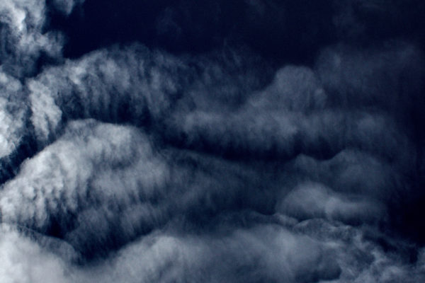 Raelynn Rodriguez, Author at Flow Visualization