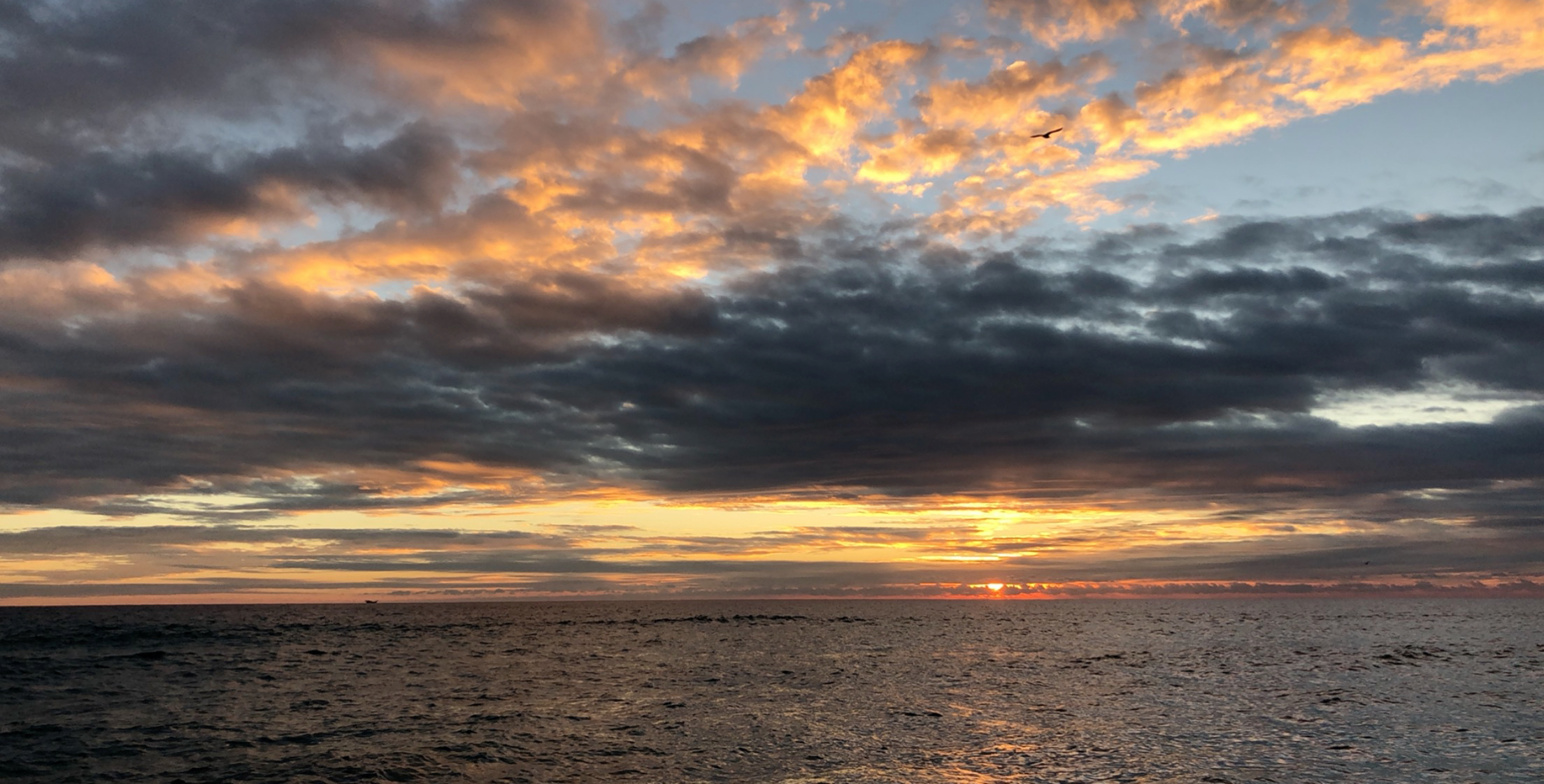 COULDS SECOND - MOHAMED ADIL - Flow Visualization