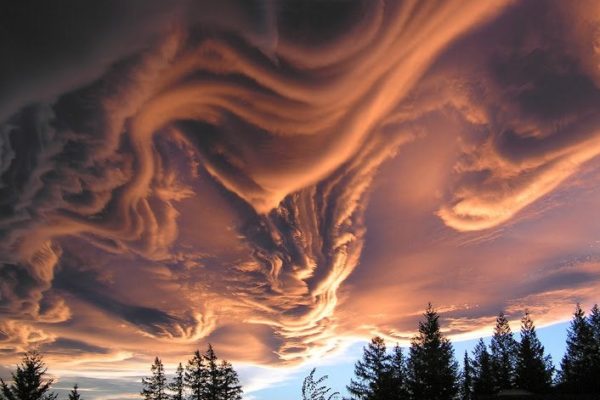 No category Archives - Flow Visualization