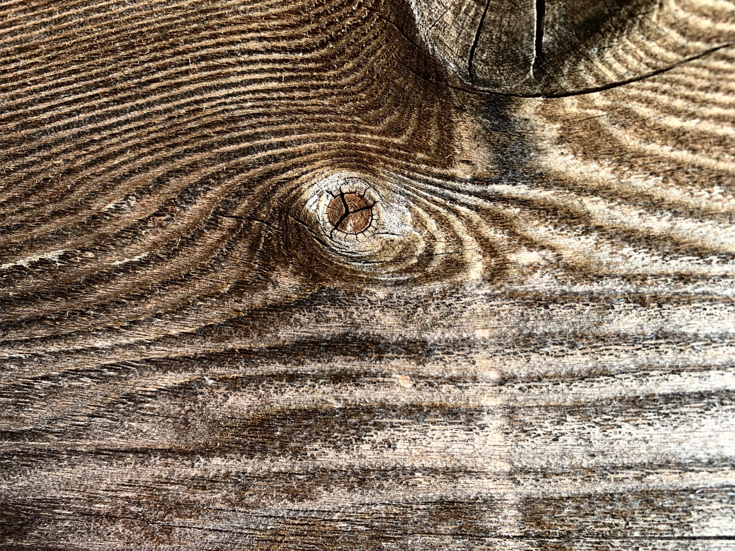 Trevor Peterson - Flow Visualization