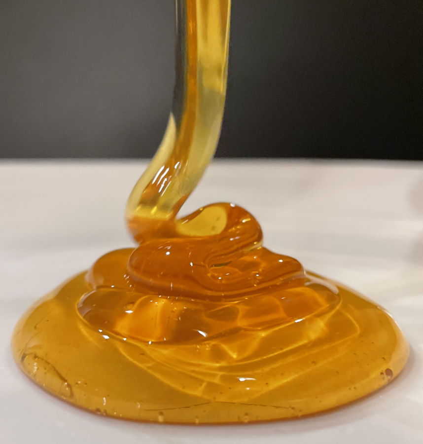 Joel Carlson - Flow Visualization