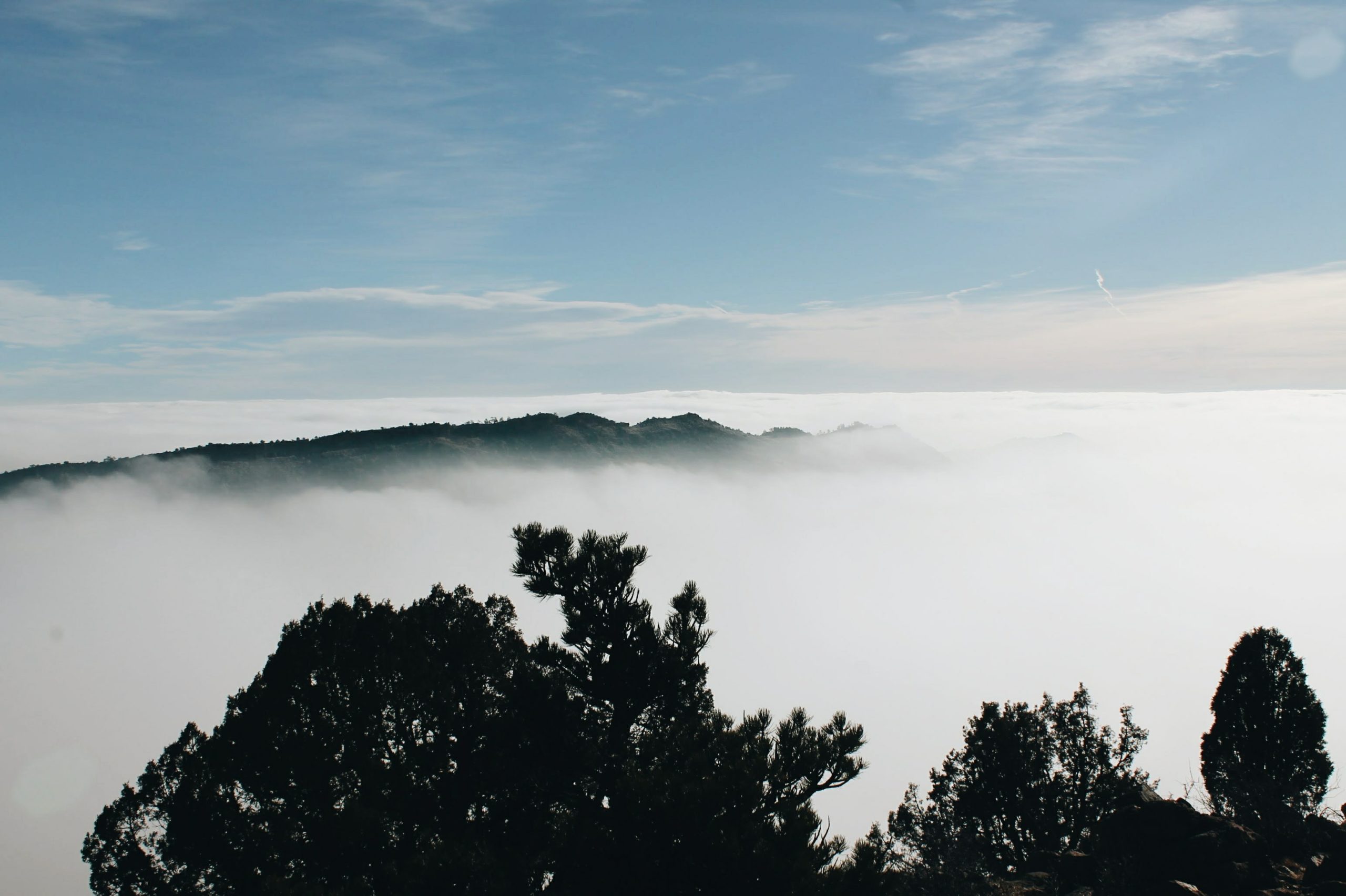 2021 Fall Clouds First // Wesley Schumacher - Flow Visualization