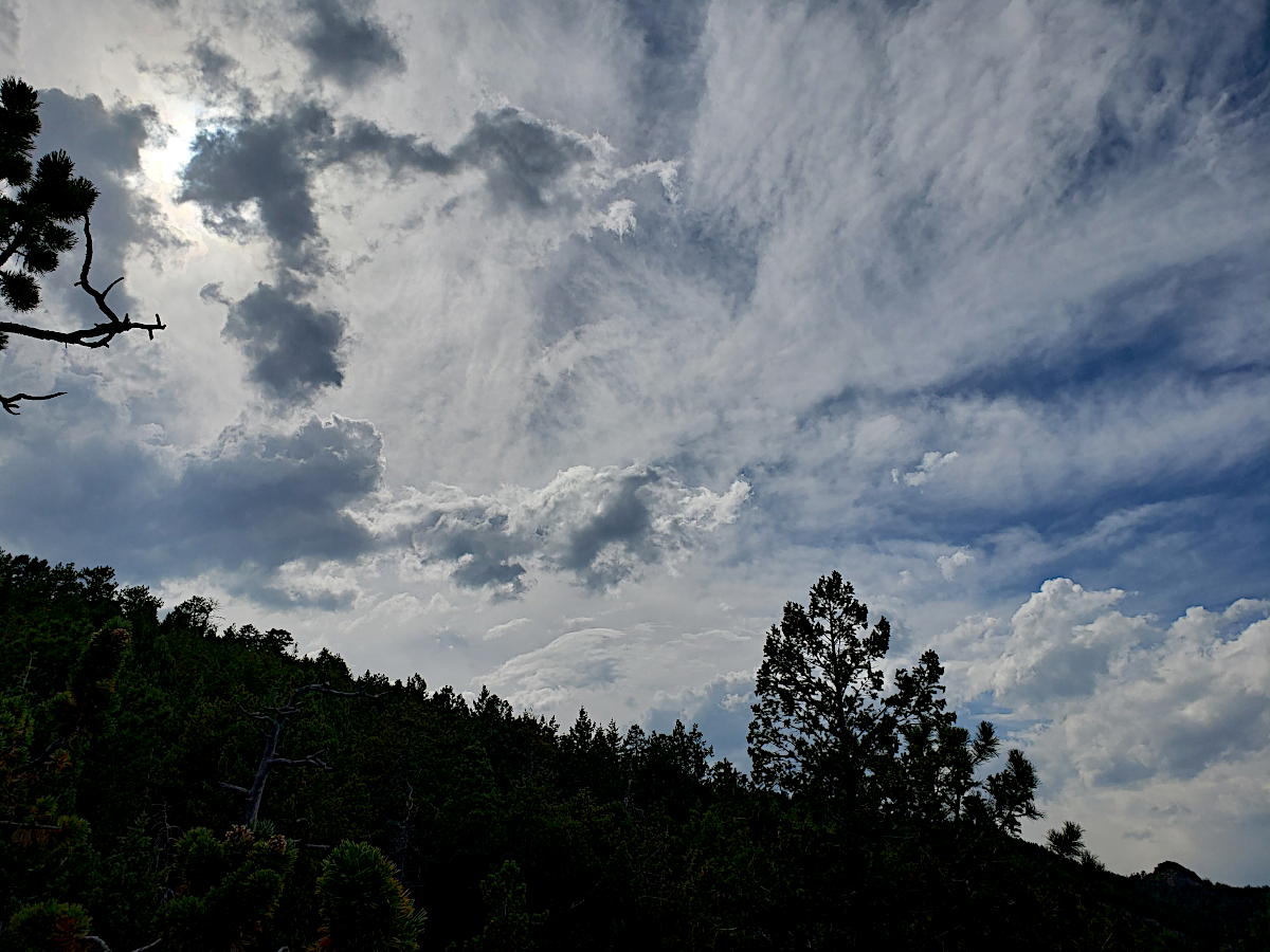 Melvin Vang - Flow Visualization