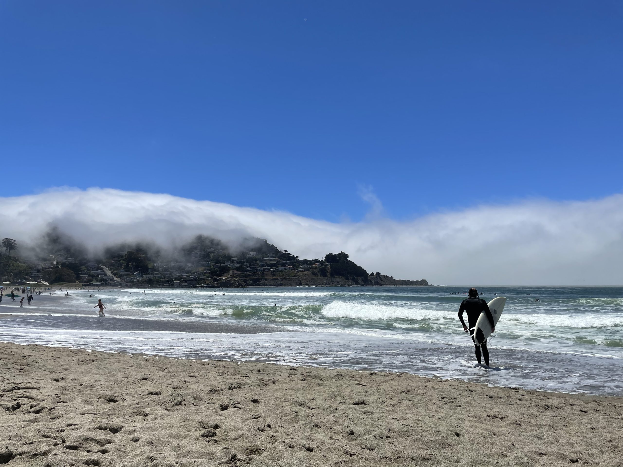 Jon Laxdal - Flow Visualization