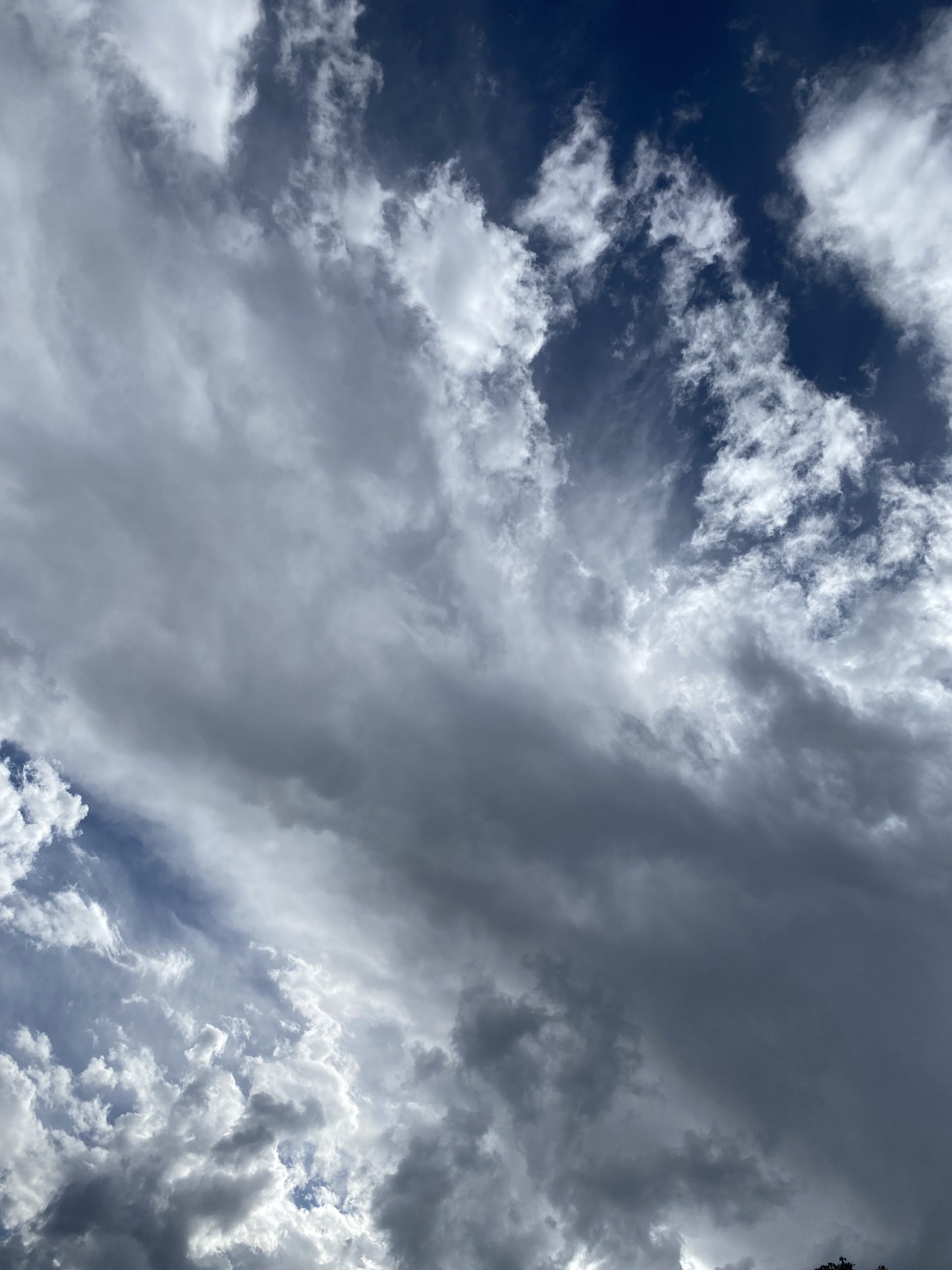 First Clouds // Anthony Arnopoulos - Flow Visualization