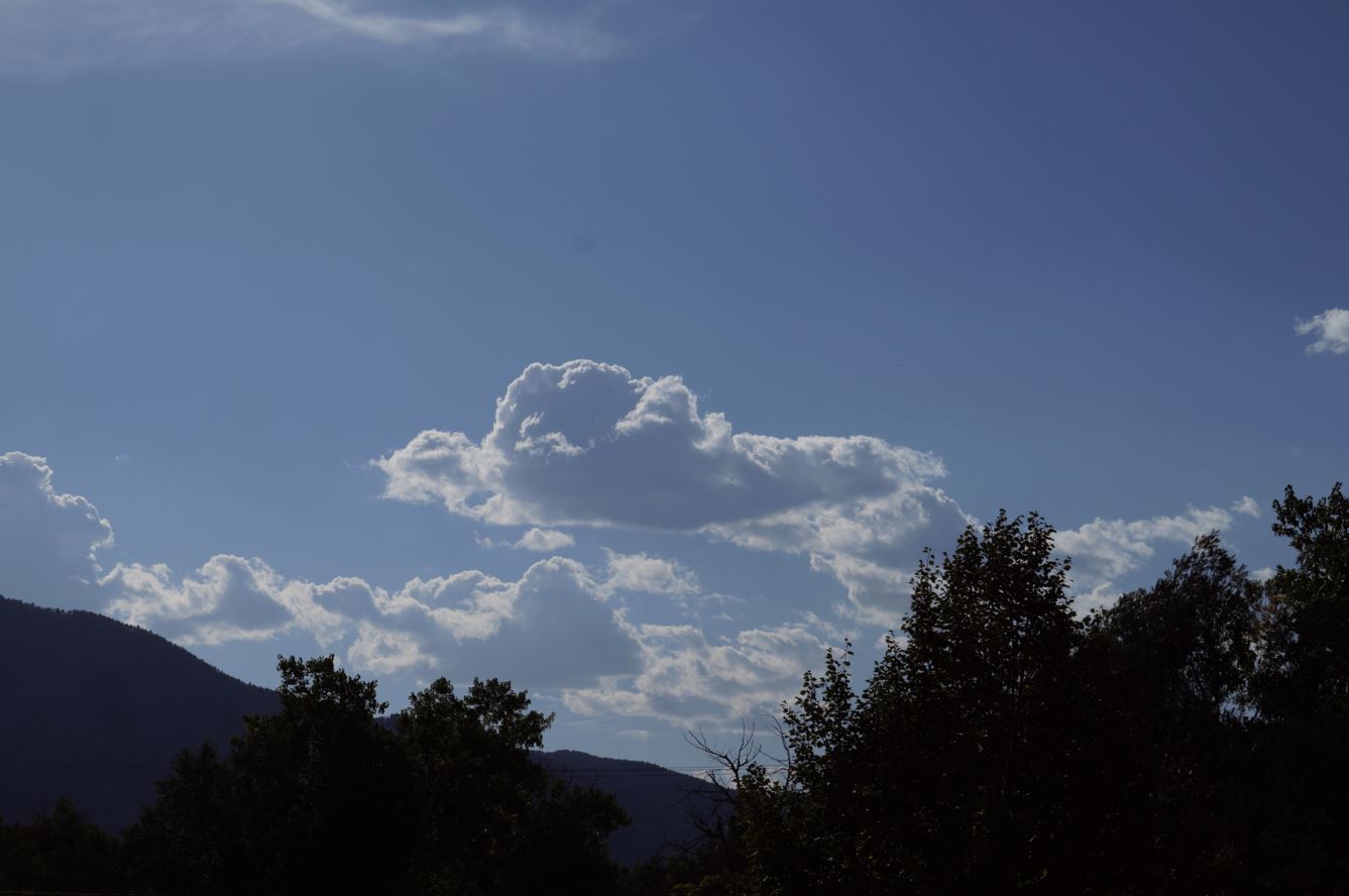 Robert Sasse - Flow Visualization