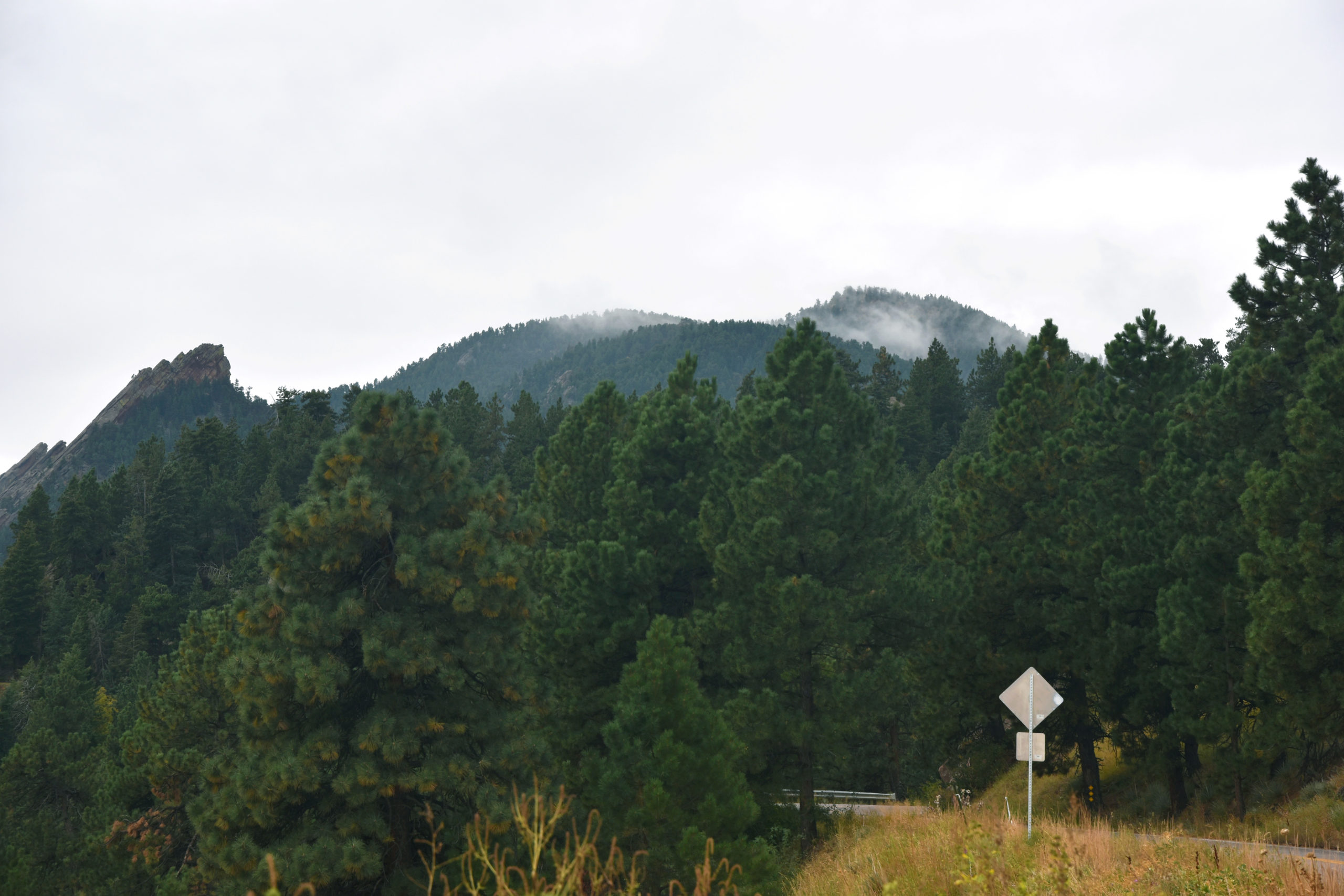 Anna Shults - Flow Visualization