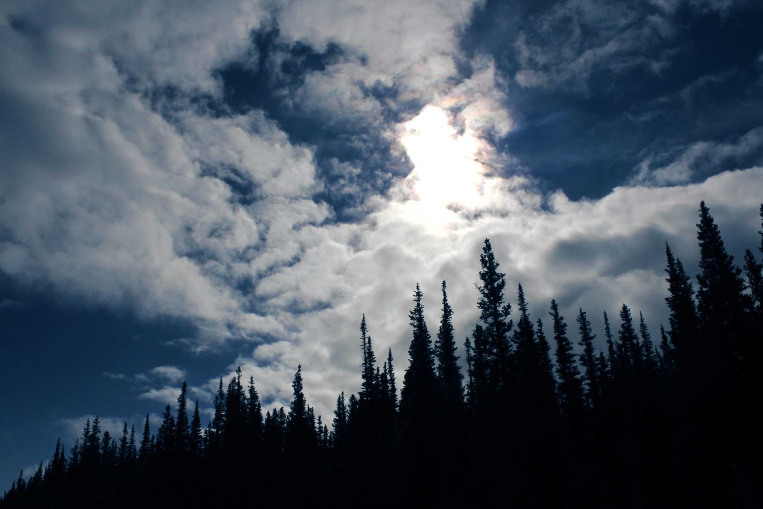 Chris Taylor // Clouds 2 - Flow Visualization