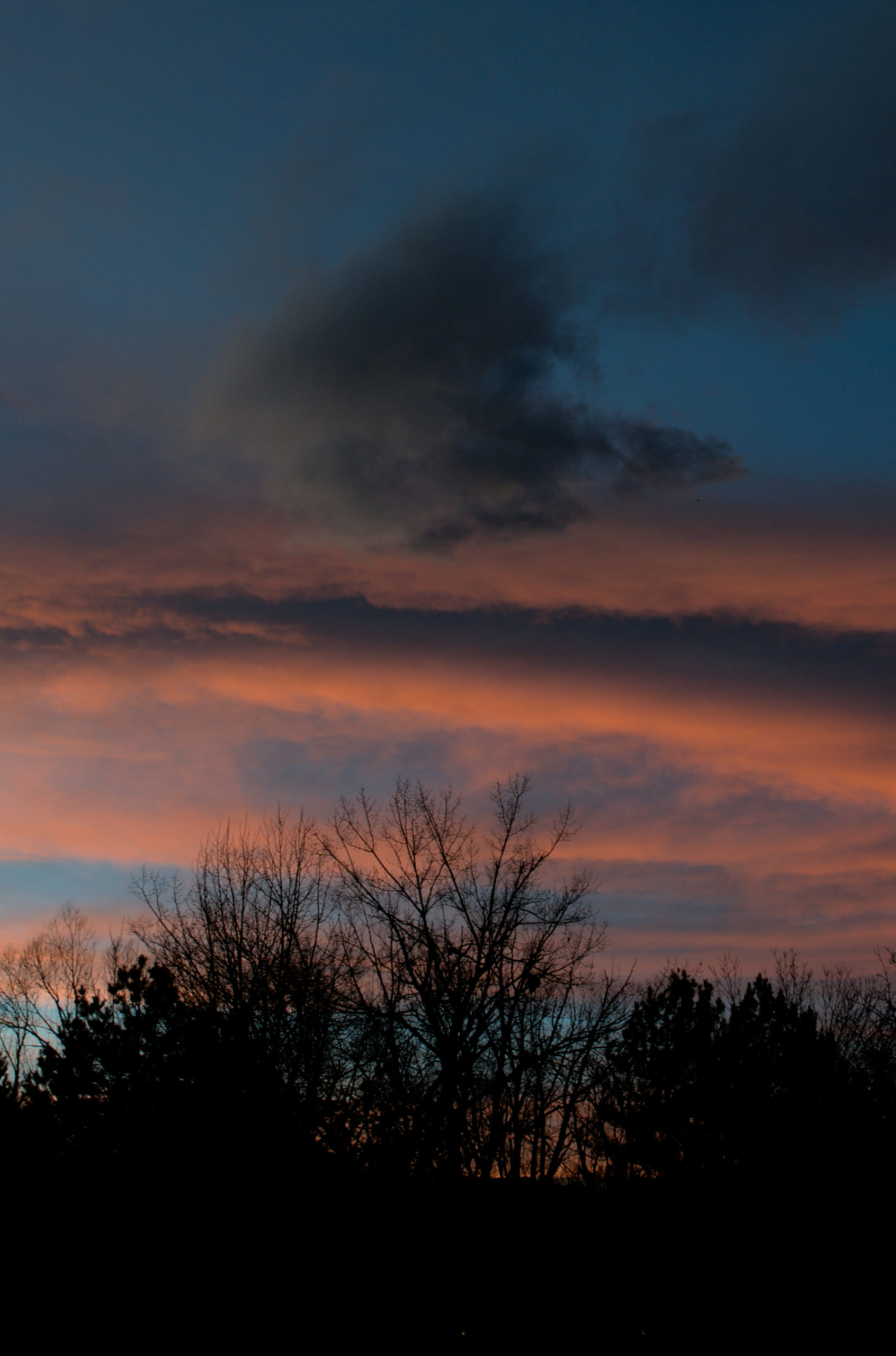 Robert Sasse - Flow Visualization