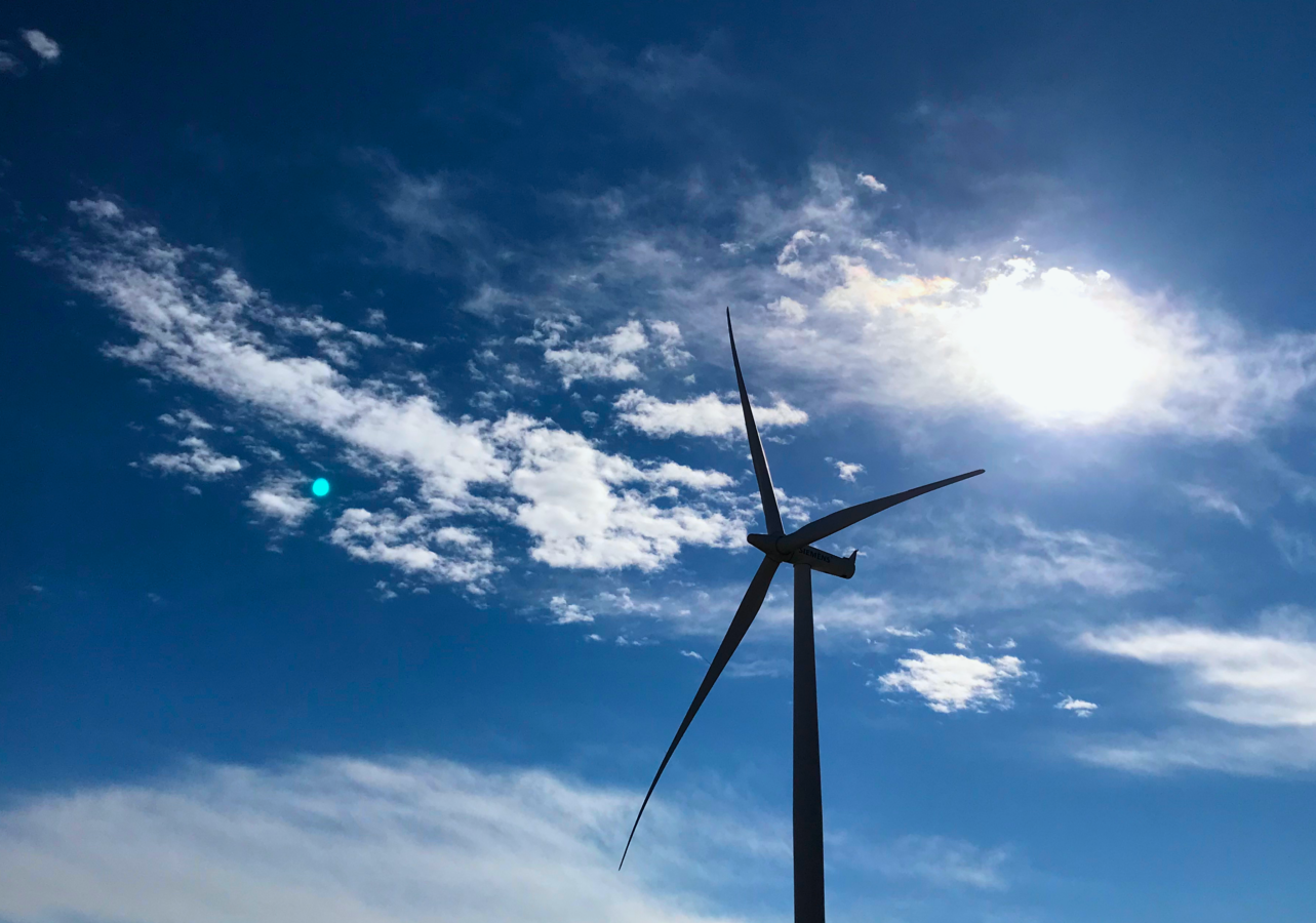 Joel Carlson - Flow Visualization