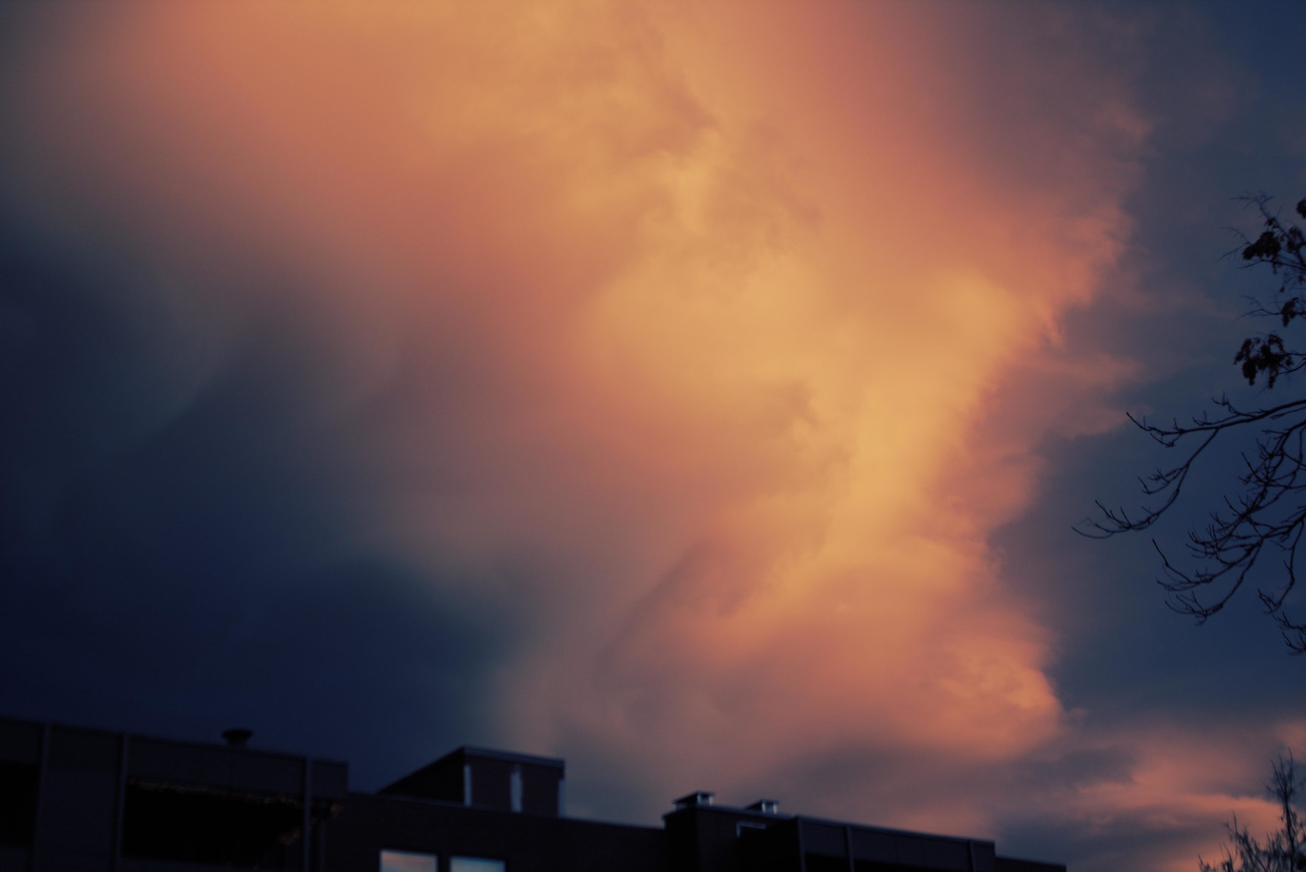 Ryan Cameron - Flow Visualization