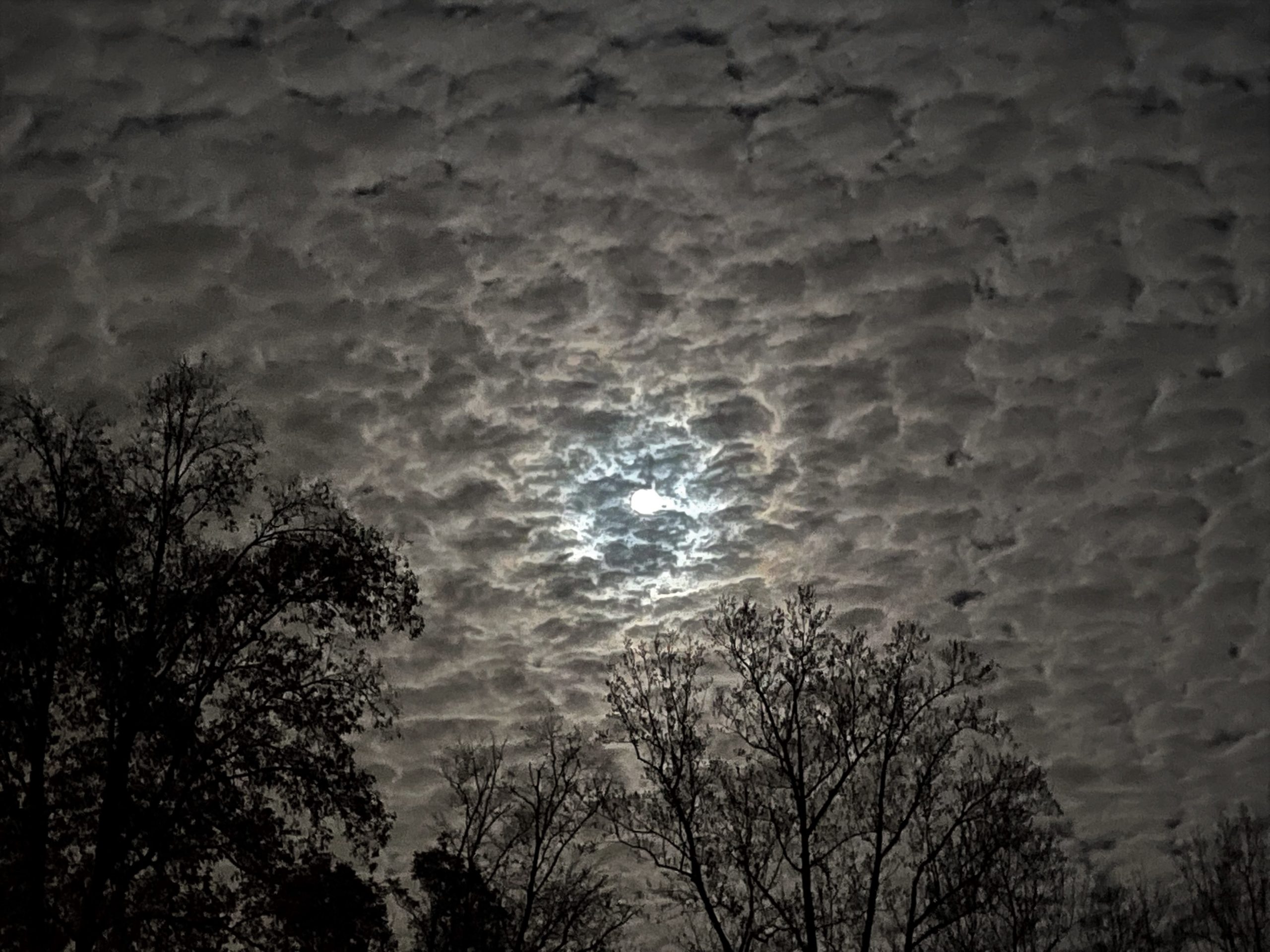 Kelly Sikora / Image 4 / Cloudy Night - Flow Visualization
