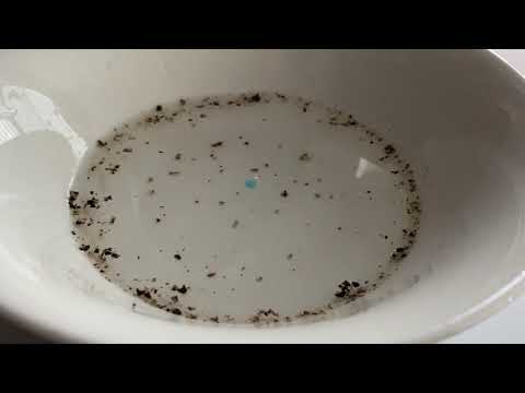 Ryan Flynn - Video 4 - Flow Visualization