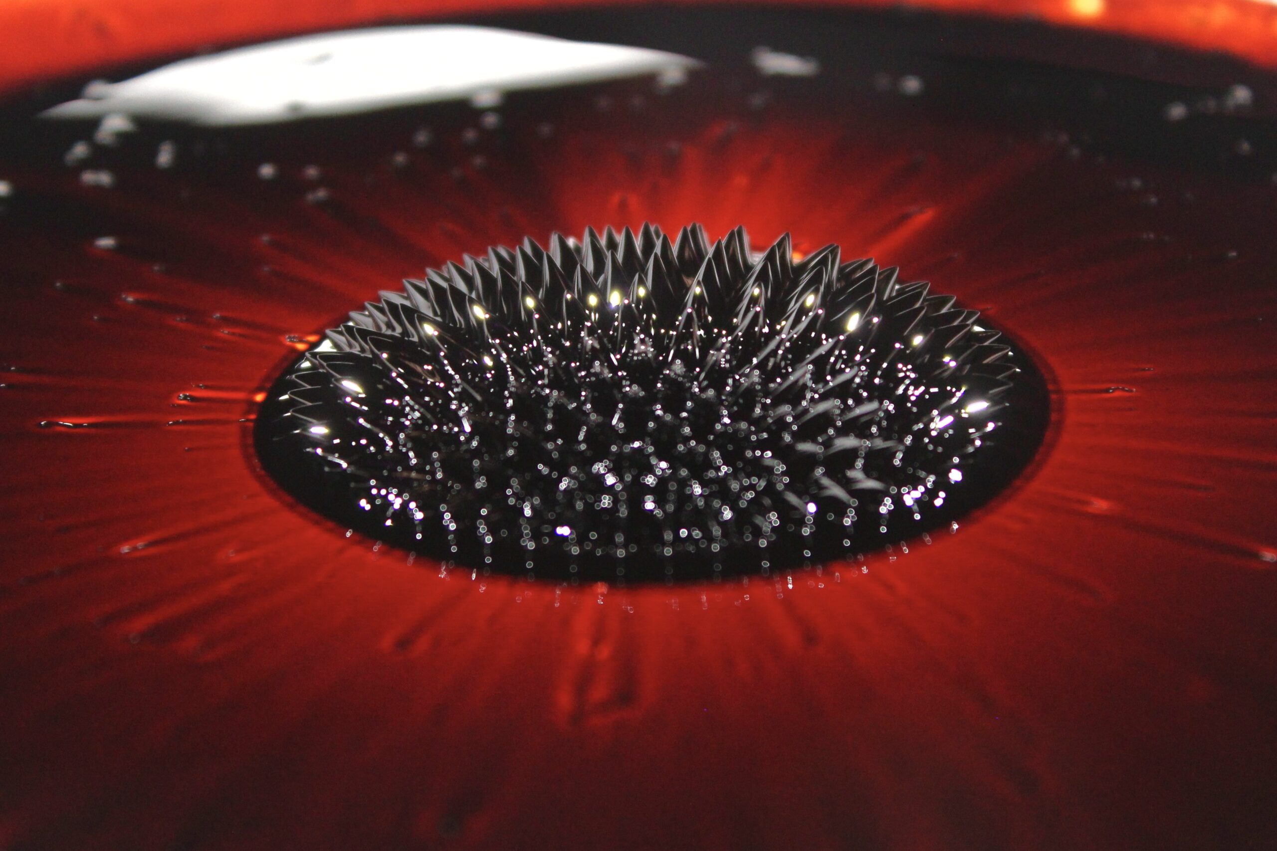 IV2 // Lucas Fesmire - Flow Visualization