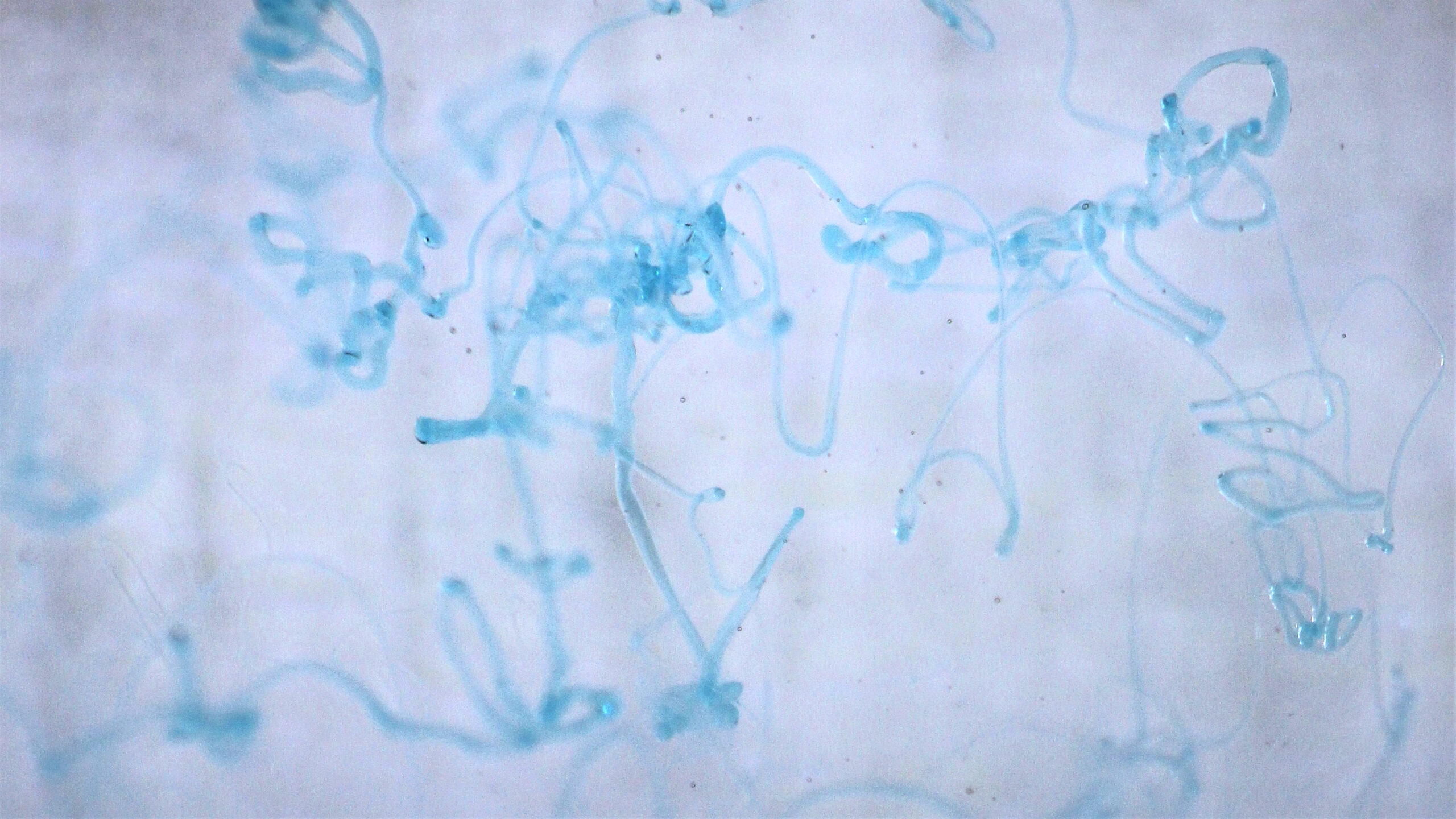 Get Wet / Lucas Fesmire - Flow Visualization