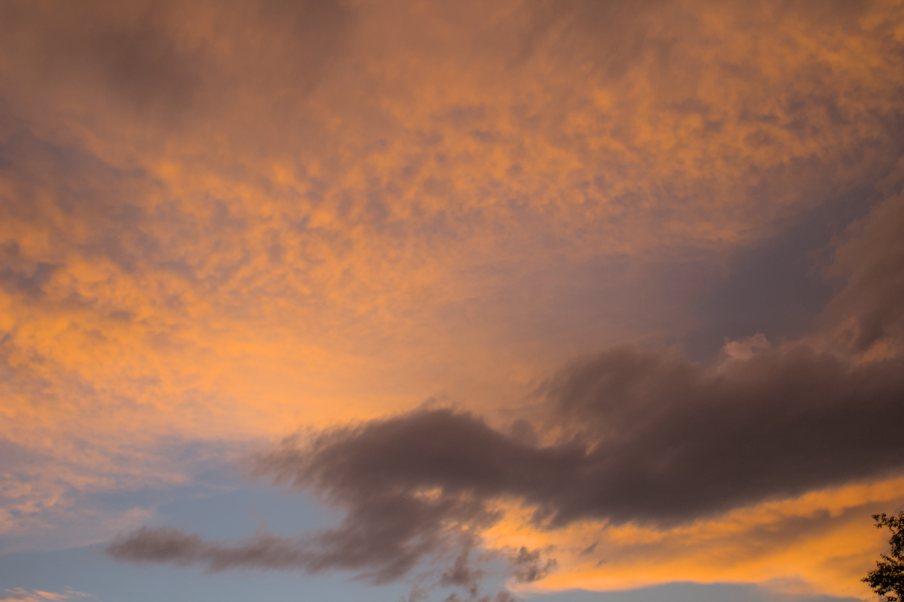 Clouds First // Kendall Shepherd - Flow Visualization