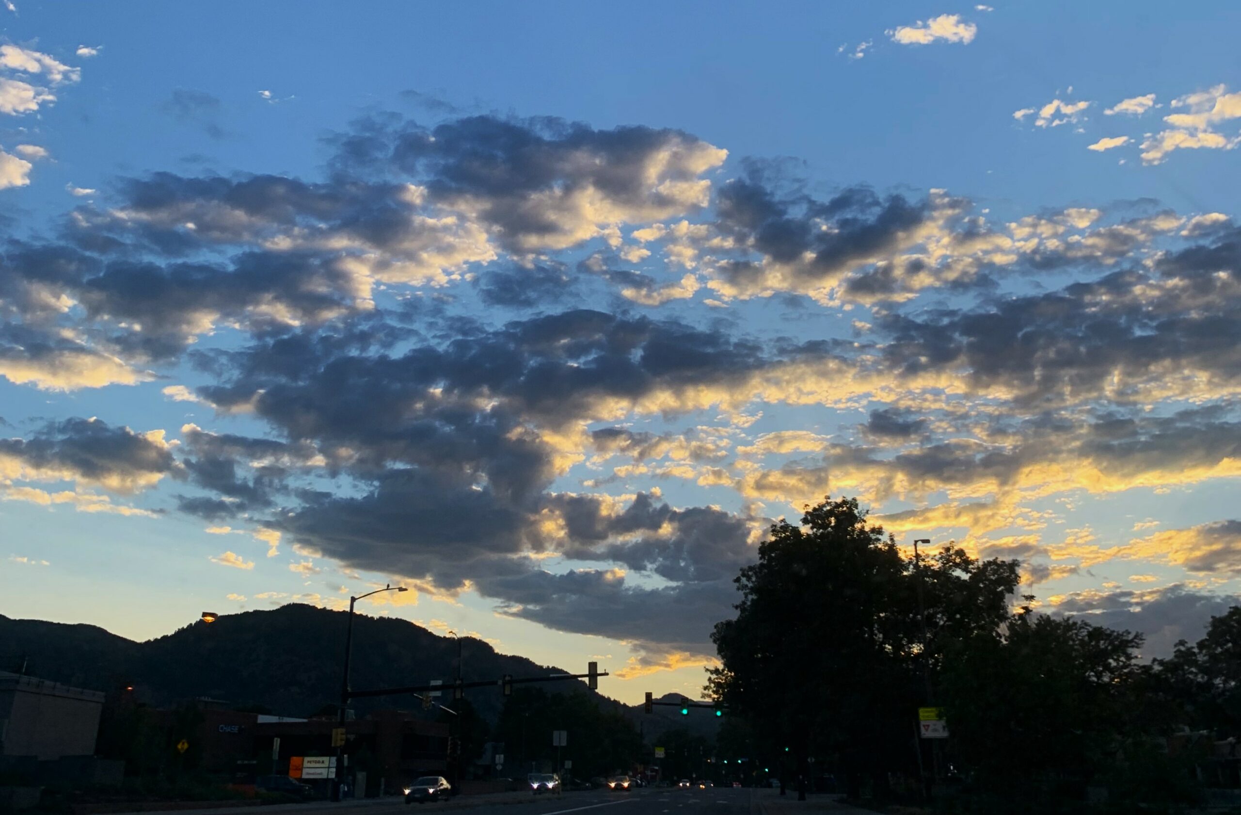 Clouds First // Marina McCann - Flow Visualization