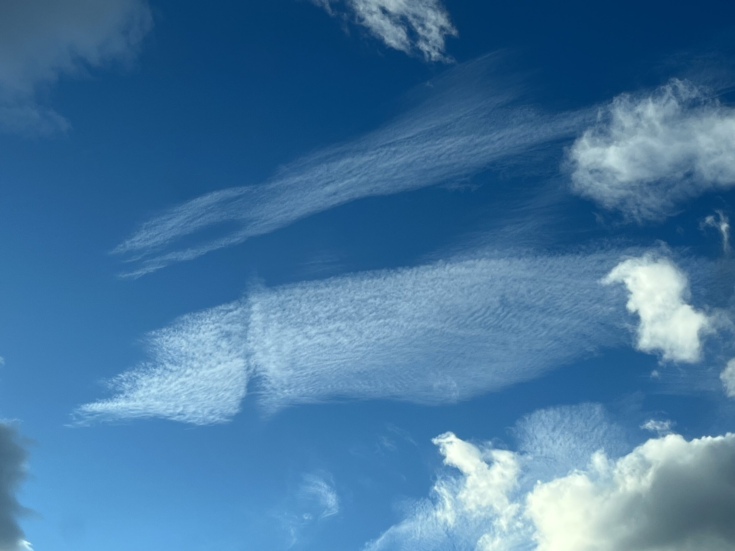 Cloud 2 || Robbie Cooper - Flow Visualization