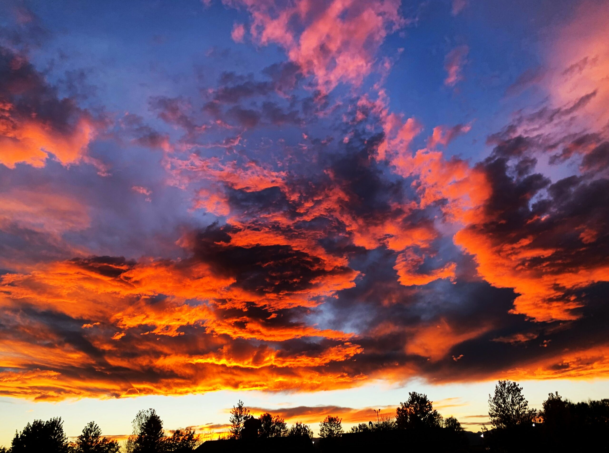 Clouds 2 // Marina McCann - Flow Visualization