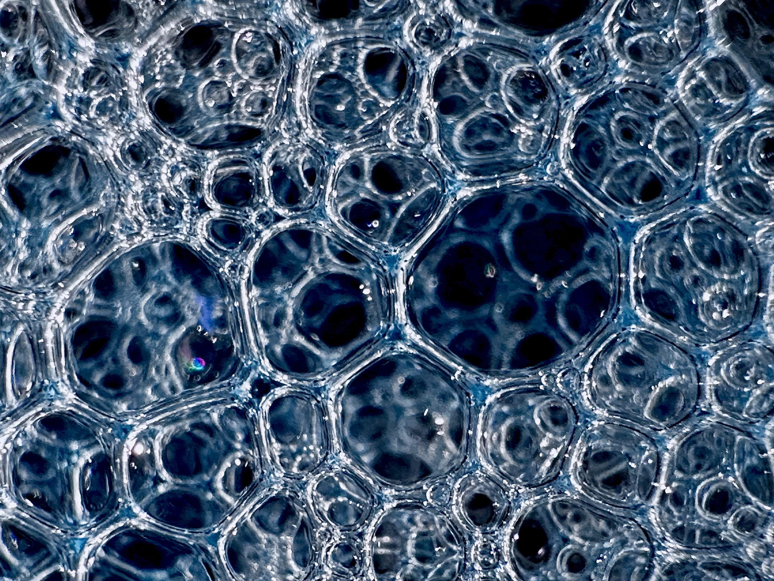 Izzy Young – Fall 2023 Get Wet - Flow Visualization