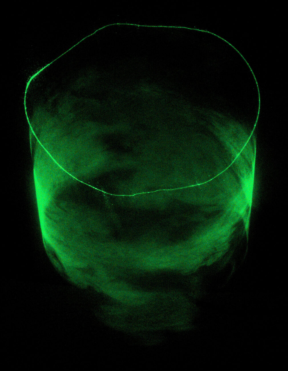 2023 Team First - Hannah DelGuercio - Flow Visualization