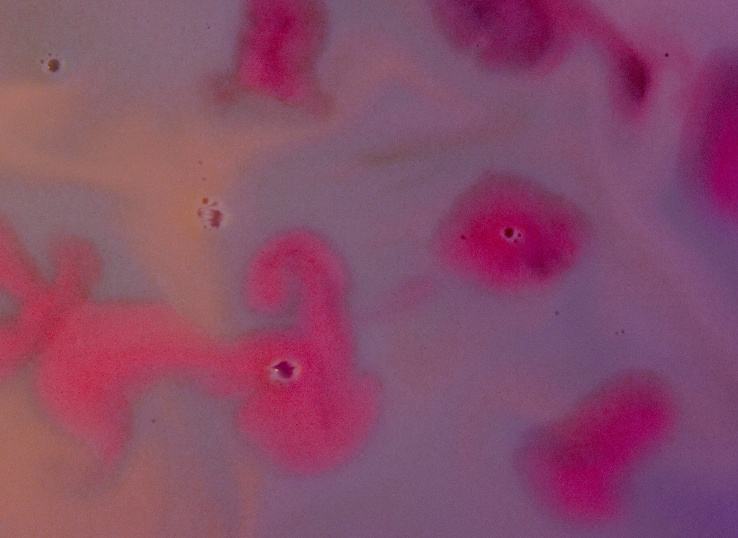 Shane Maurry Get Wet 2023 - Flow Visualization