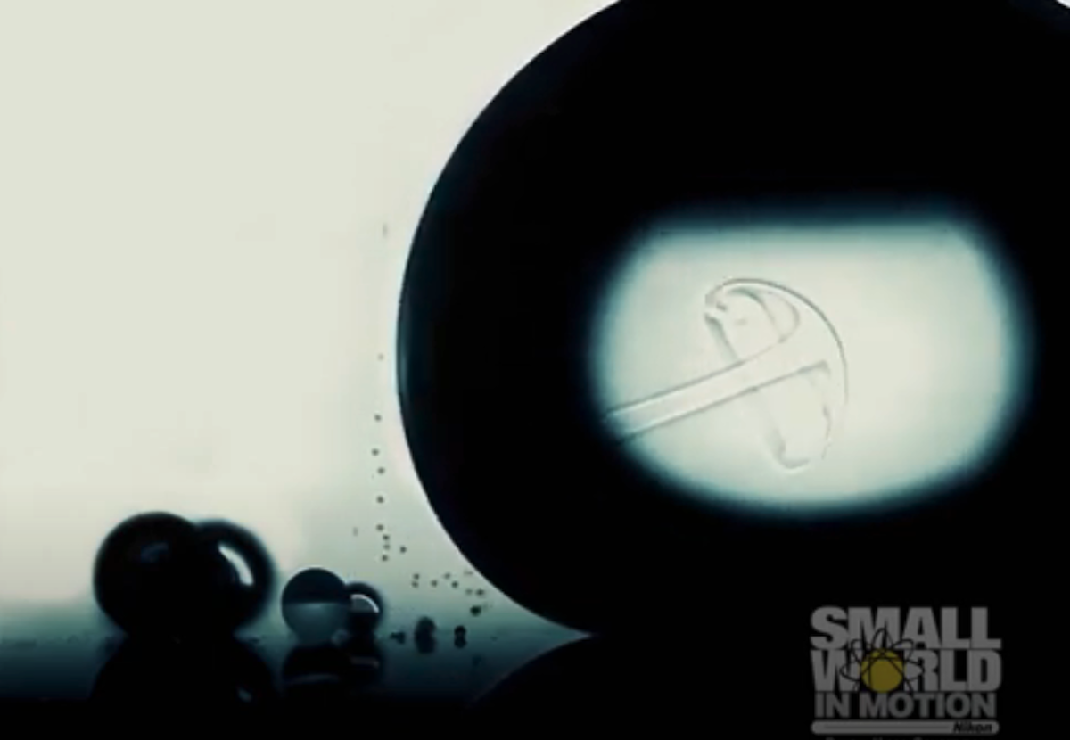 2023 Best of Web - Corey Murphey - Flow Visualization