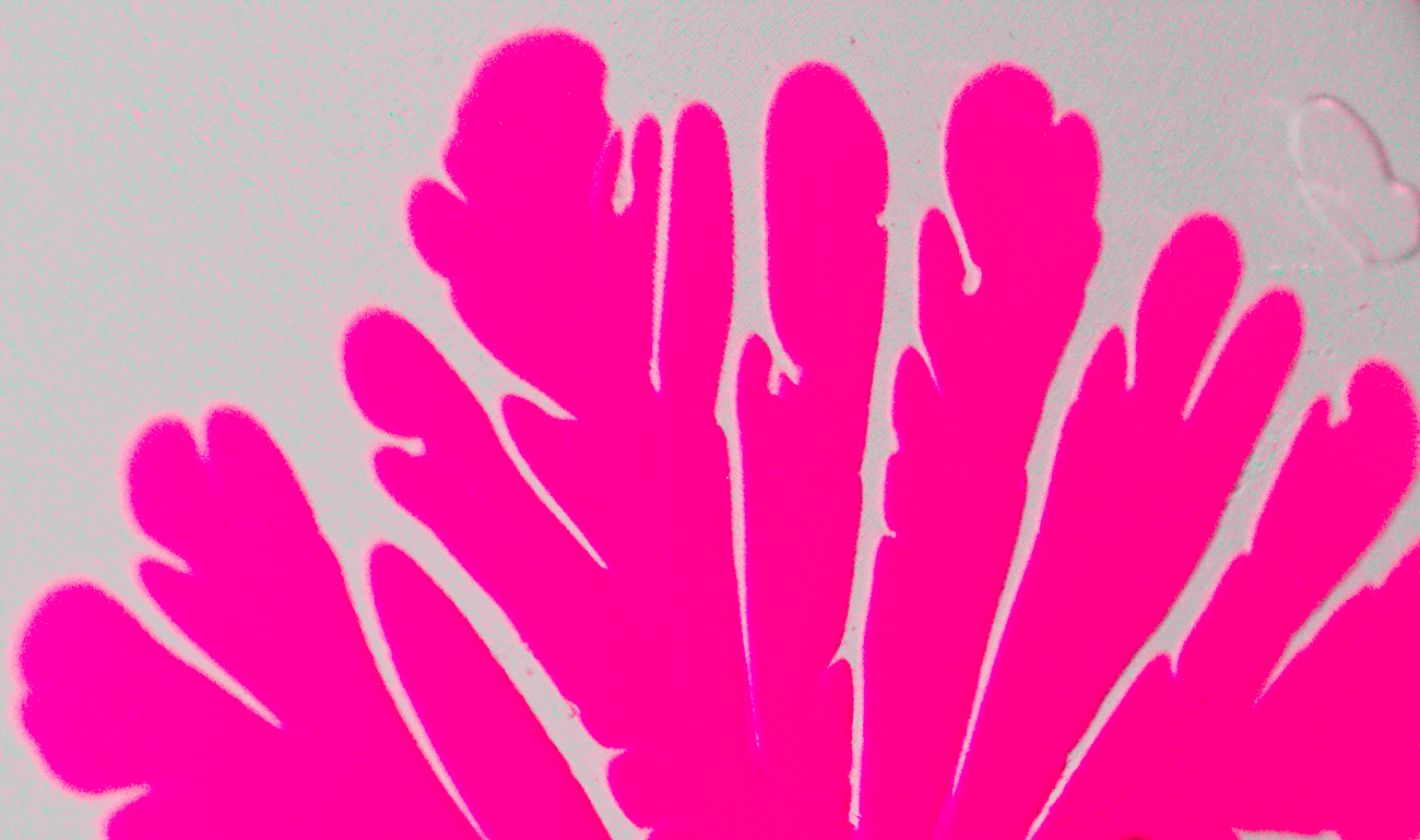 Team First Fall 2023 - Michael Becerra - Flow Visualization