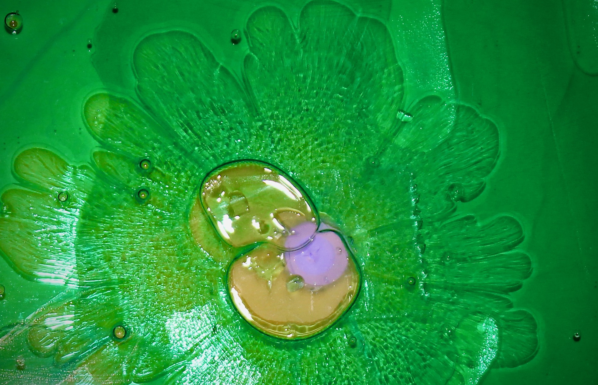 Team First 2023- Maddie O'Brien - Flow Visualization