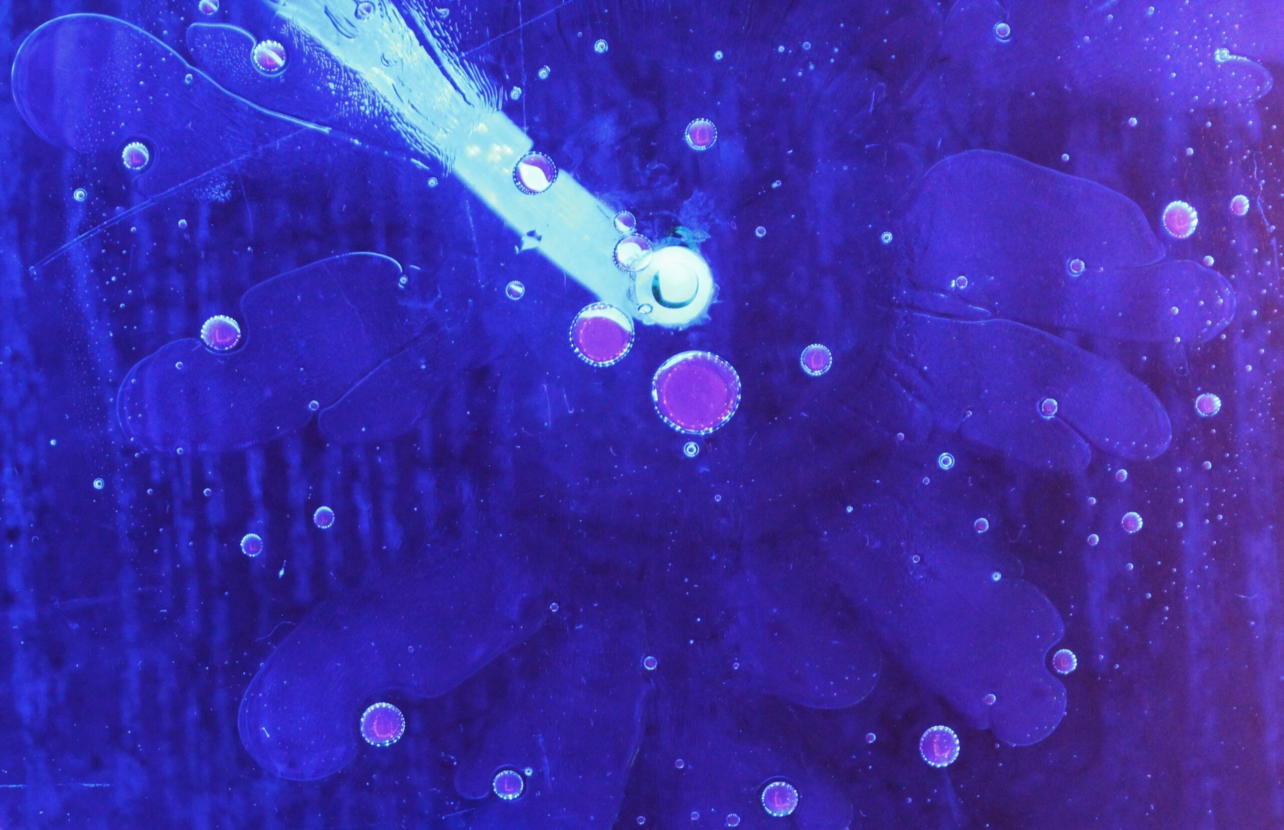 Teams First - Nicole Nageli - Flow Visualization