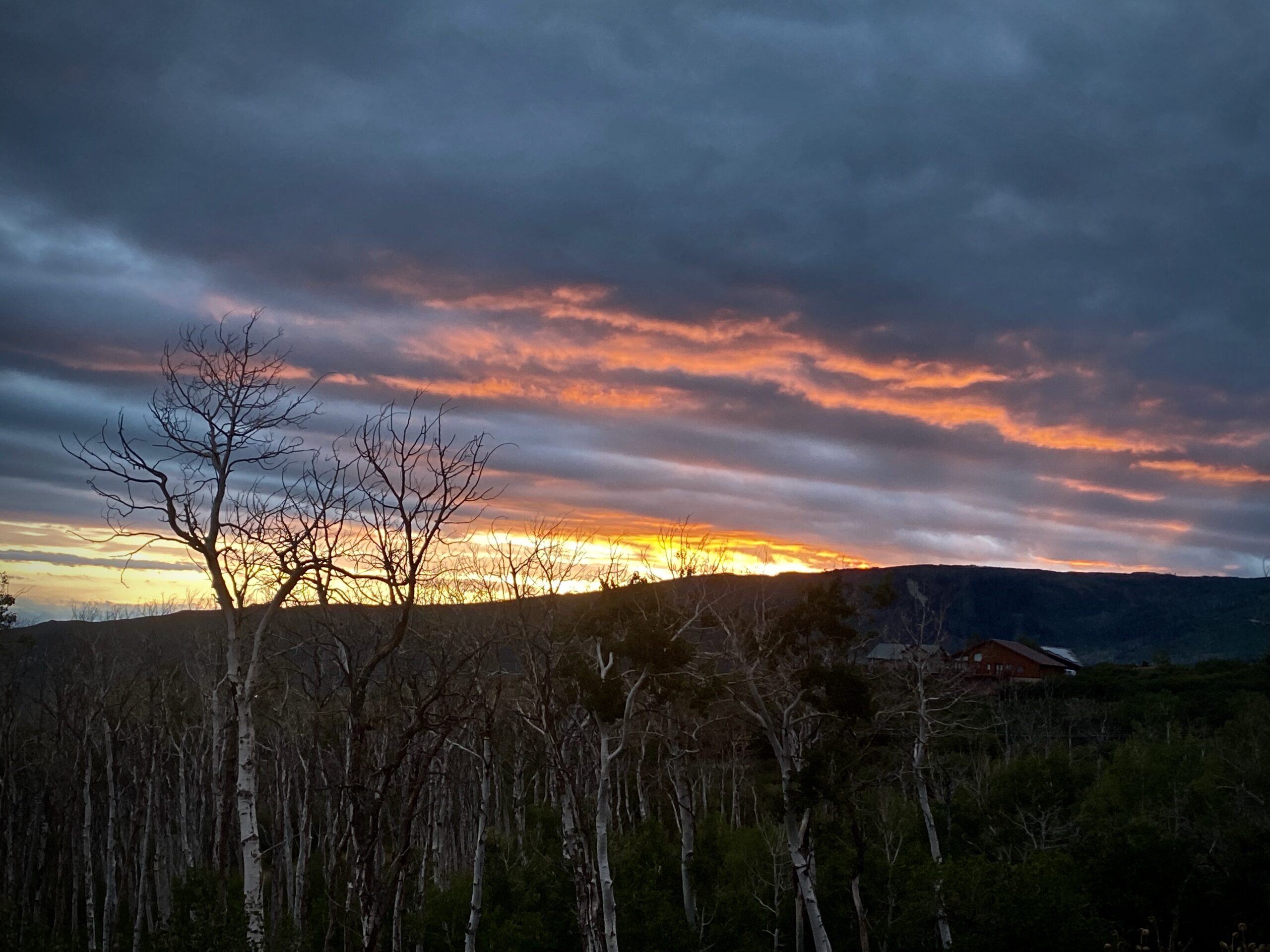 Cloud First 2023 - Flow Visualization