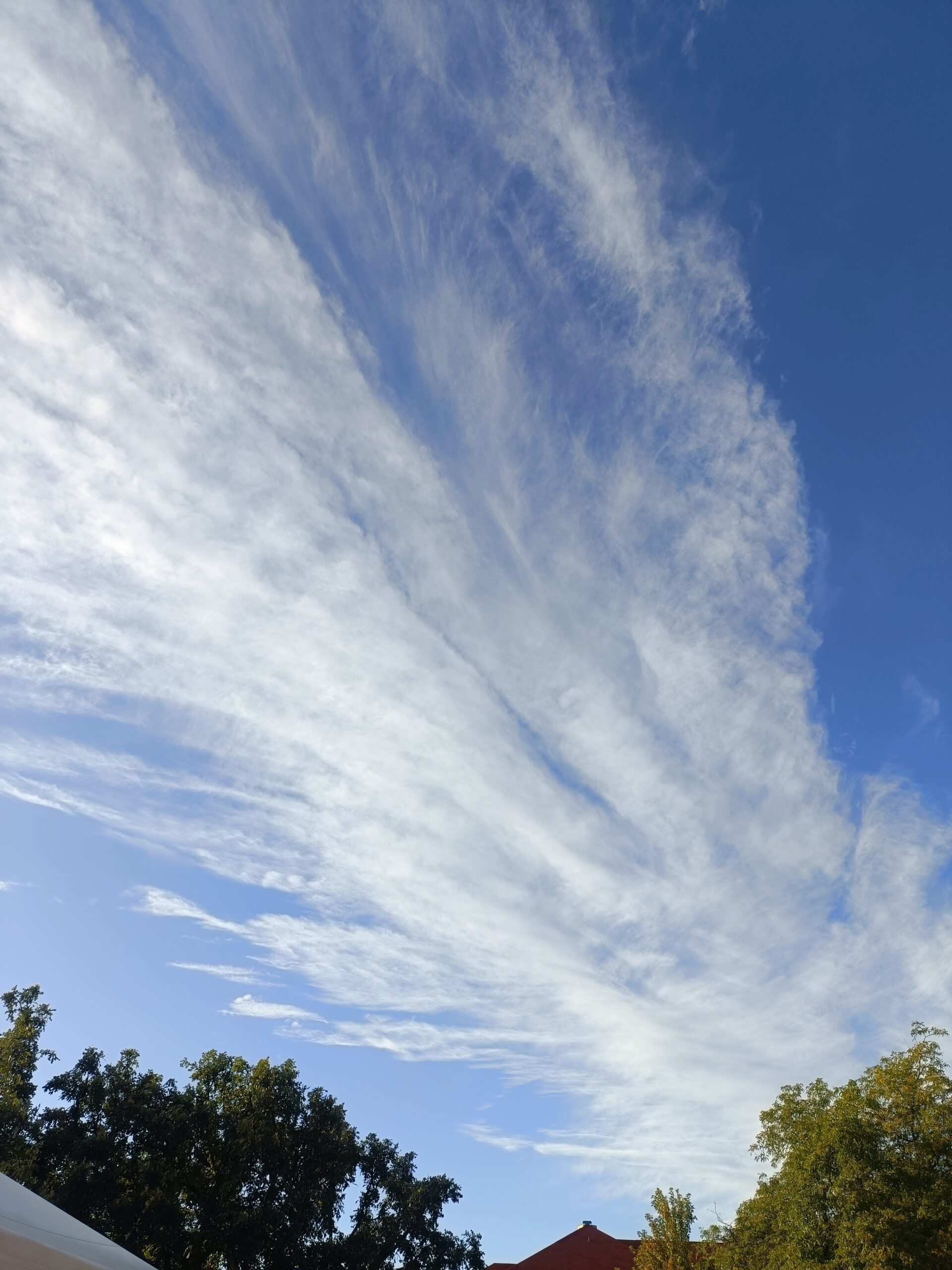 Clouds First- Venkata Durvasula - Flow Visualization