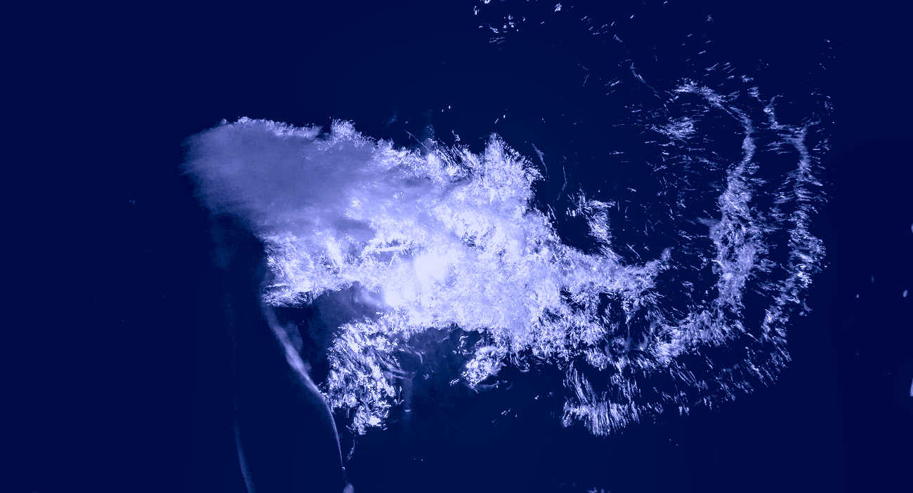 Team Second | Corey Murphey - Flow Visualization